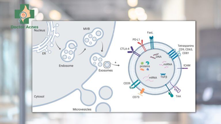 Exosome là gì? Exosome có tác dụng gì trong làm đẹp