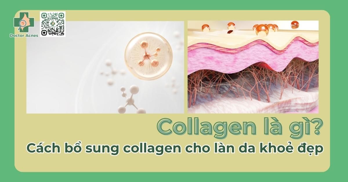 Collagen là gì? Cách bổ sung collagen cho làn da khoẻ đẹp